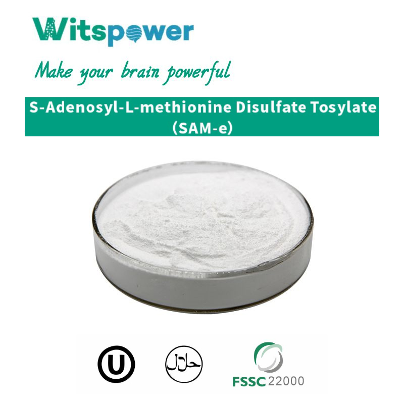 S-Adenosyl-L-methionine Disulfate Tosylate, SAME Disulfate Tosylate